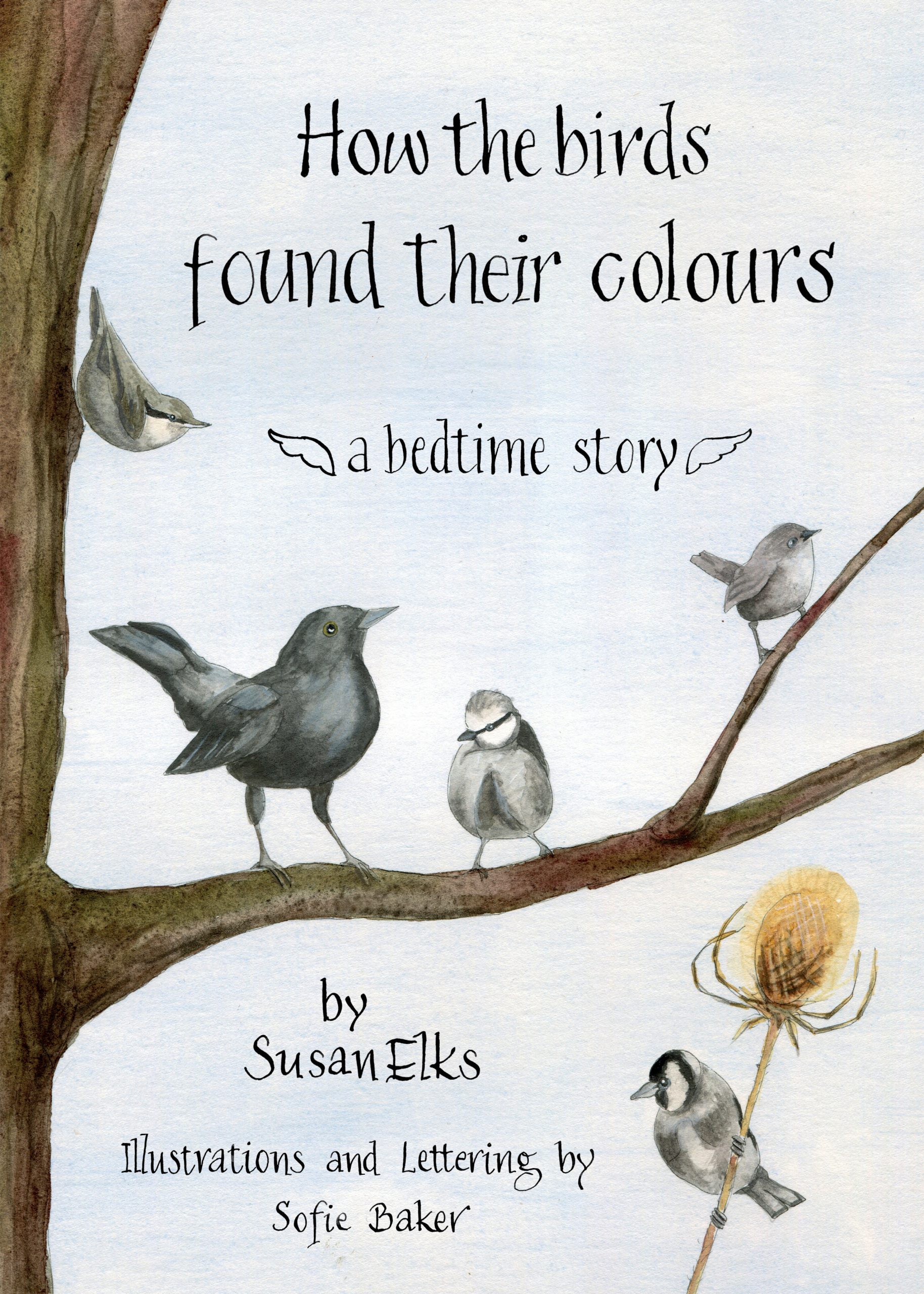 How The Birds Found Their Colours - Chalk Stream Books